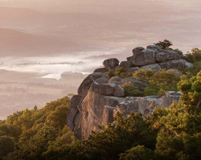 Visit Virginia | Miles Partnership