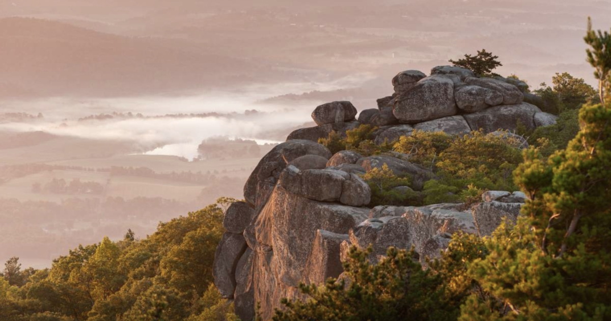 Visit Virginia | Miles Partnership